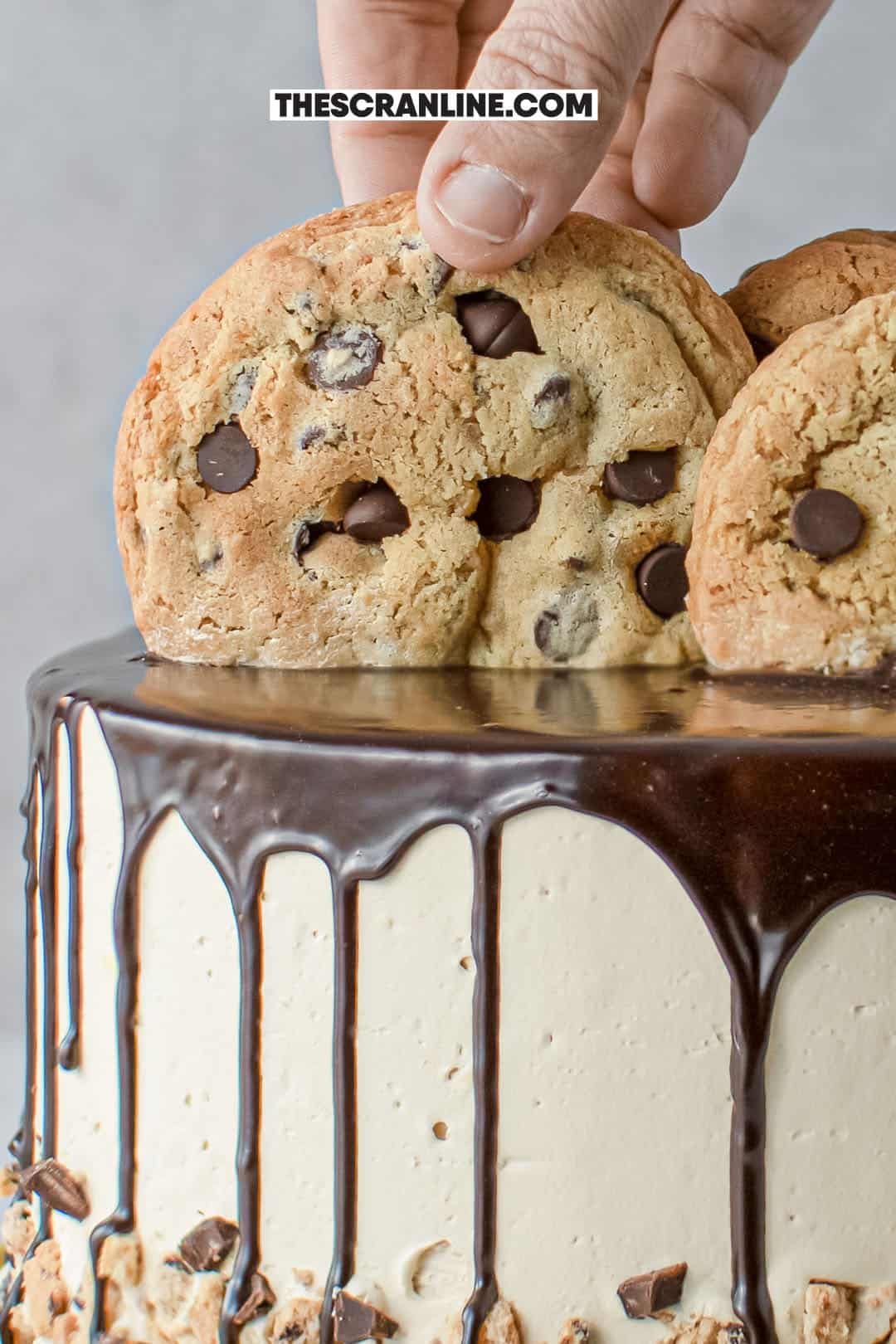 Delicious Cookie Dough Cake - The Scran Line