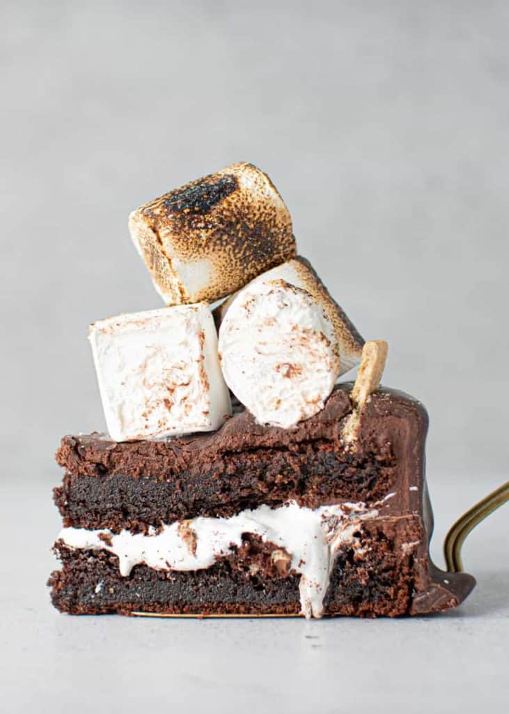 Easy Chocolate S'mores Cake - www.thescranline.com