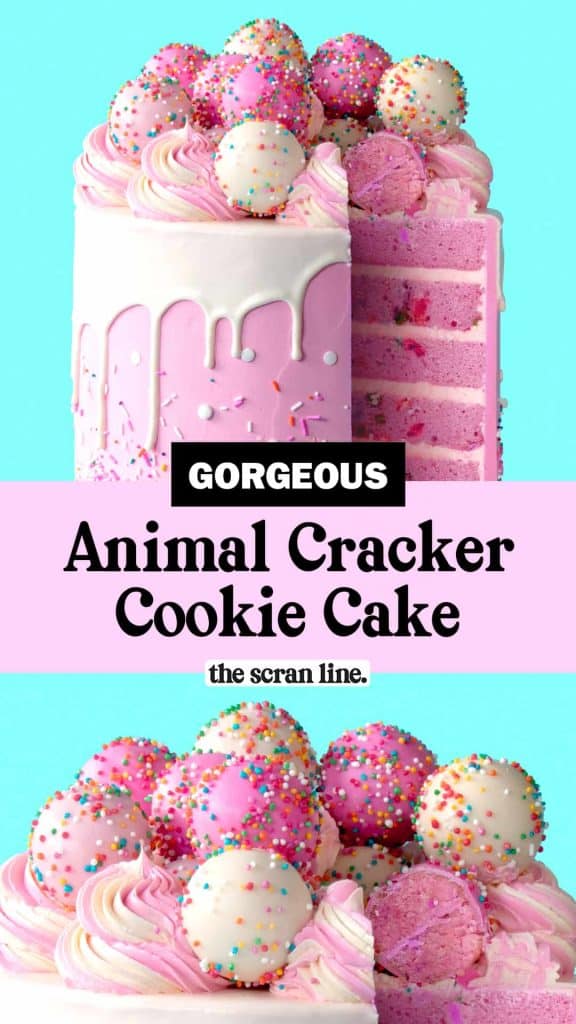Animal Cracker Cake - The Scran Line