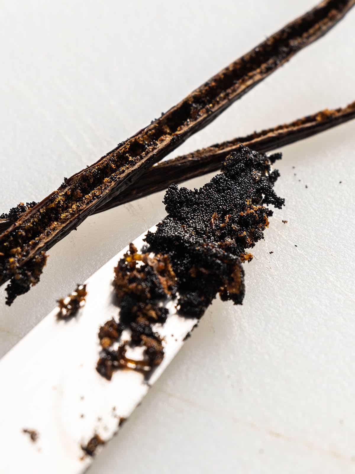 French Pastry Cream Recipe - The Scranline