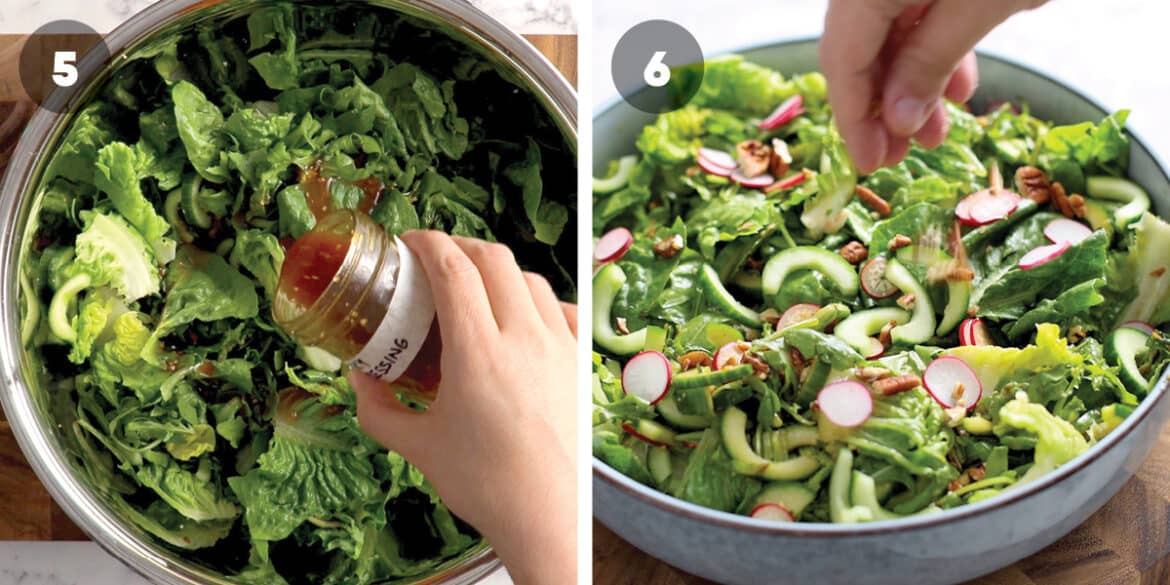 Garden Green Salad - The Scranline