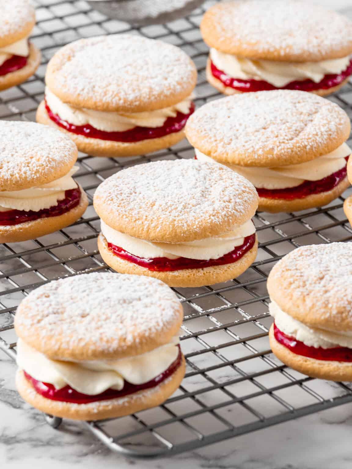 Sponge Kisses - The Scranline