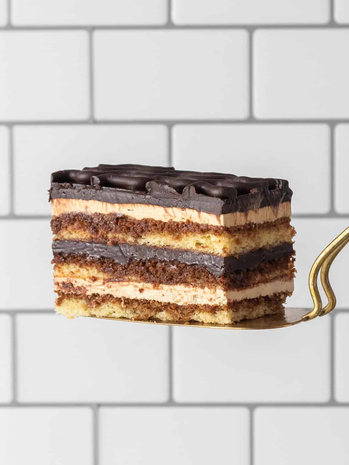 Opera Cake - The Scranline