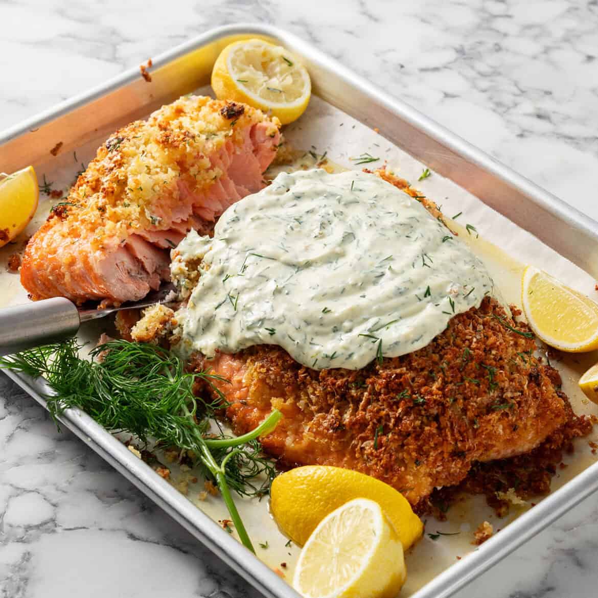Garlic Parmesan Crusted Salmon with Creamy Dill Sauce - The Scranline