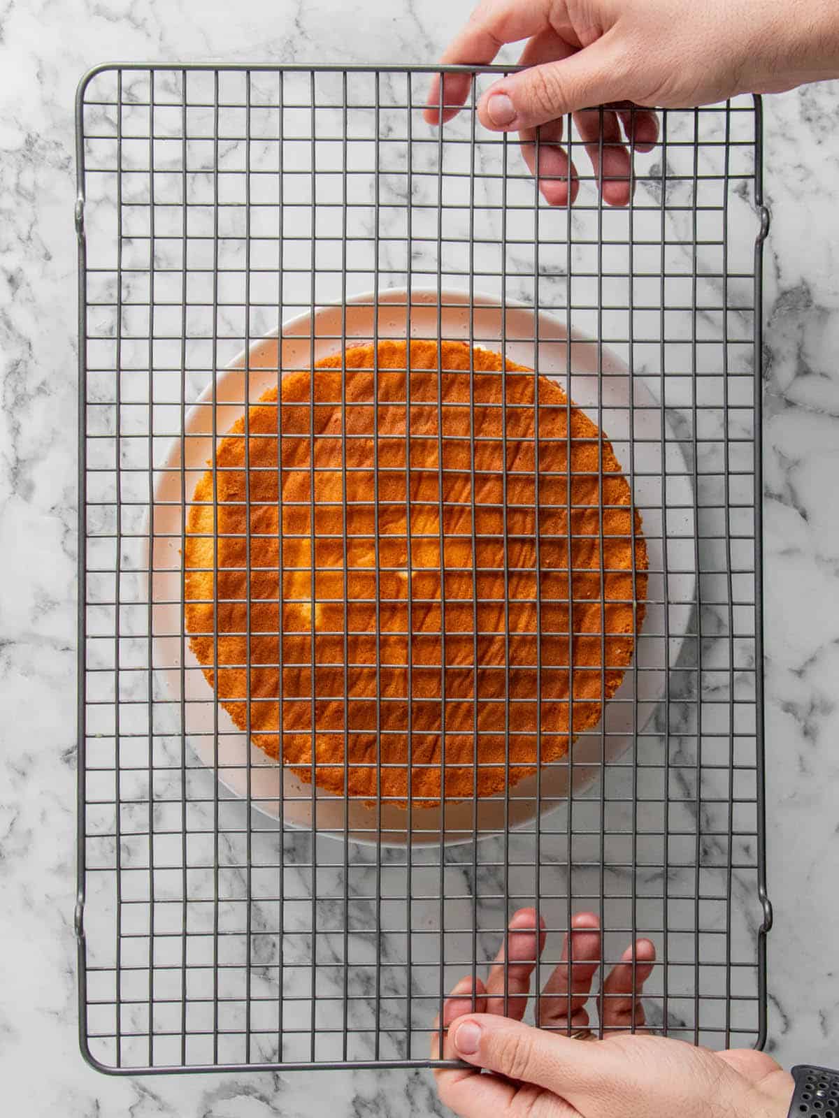 Vanilla Sponge Cake, Step-By-Step - The Scranline