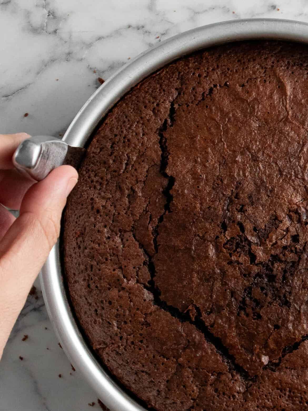 One-Bowl Chocolate Fudge Cake (SO Moist!) - The Scranline