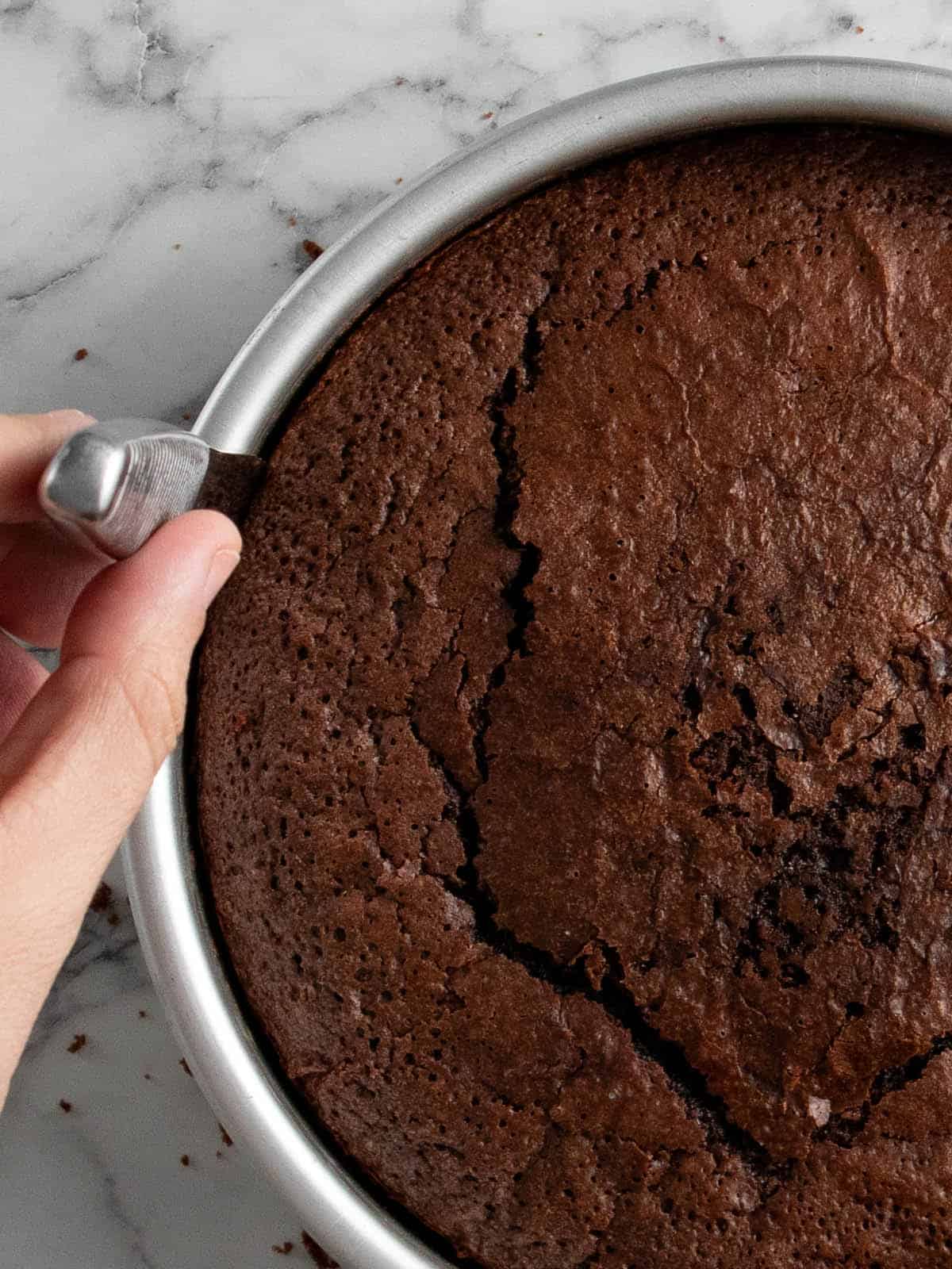 One-Bowl Chocolate Fudge Cake (SO Moist!) - The Scranline