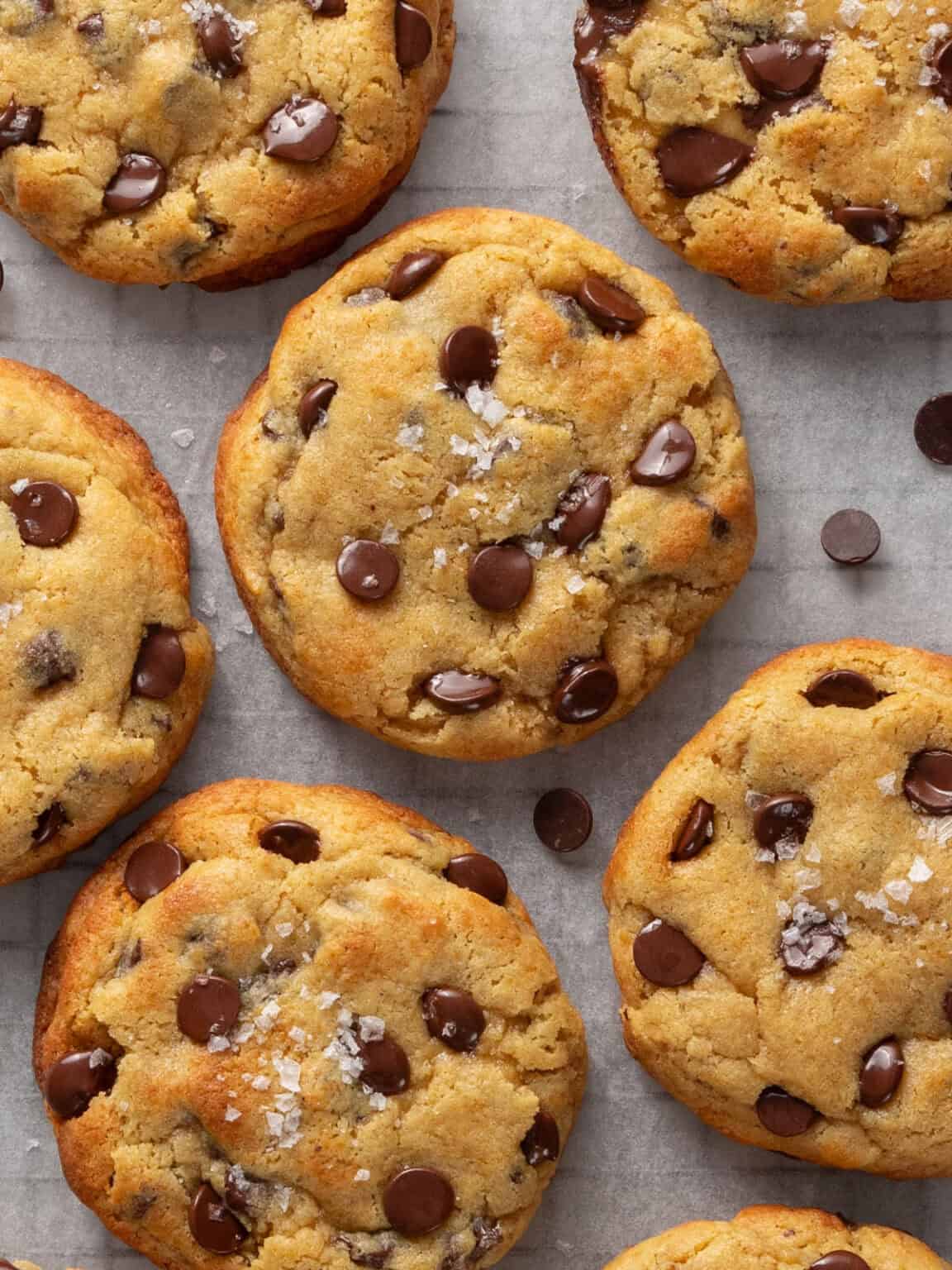 Bakery Style NYC Chocolate Chip Cookies - The Scranline